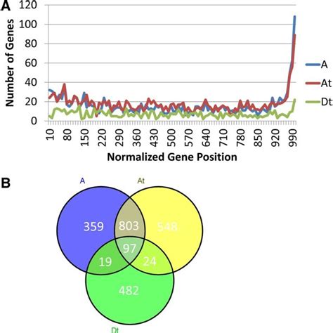 Premature Stop Codons Were Found In Each Gossypium Genome A