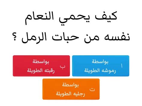 الفصل 21 22 من رواية الولد الذي عاش مع النعام اختبار تنافسي