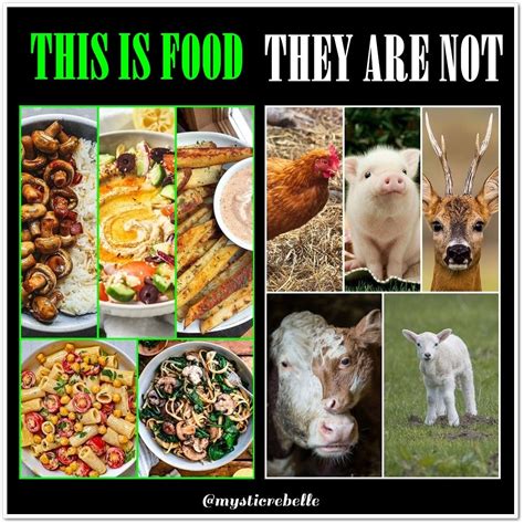 Exposing Inhumane Practices On Factory Farms Cruelty Behind Closed