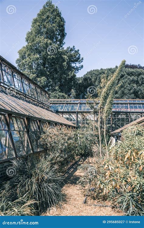 Cambridge University Botanic Garden Uk Editorial Photography Image