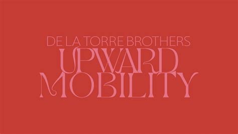 De La Torre Brothers Upward Mobility Mcnay Art Museum