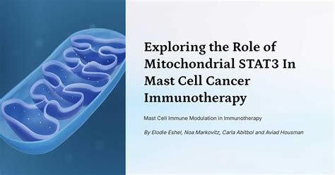 Exploring The Role Of Mitochondrial Stat3 In Mast Cell Cancer Immunotherapy