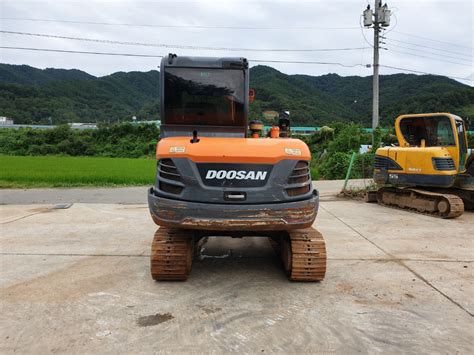 Dx55 5 딱따구리전문가들