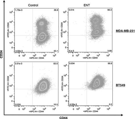 Histone Deacetylase Inhibitor Entinostat Inhibits Tumor Initiating