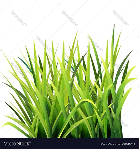 Membuat Vector Rumput Di Illustrator Kelas Desain Belajar Desain My