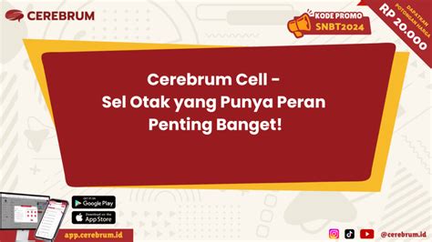 Cerebrum Cell Sel Otak Yang Punya Peran Penting Banget
