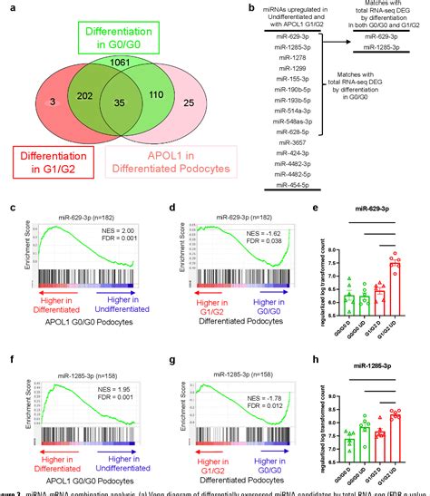 Figure 1 From Transcriptomic Analysis Of Human Podocytes In Vitro
