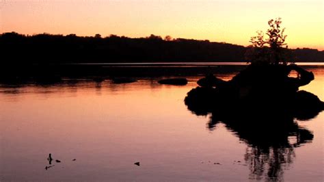 Sunset Over A Serene Lake Cute Sunset 
