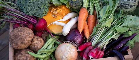 Feedback Organic Recovery Growing Foods Future