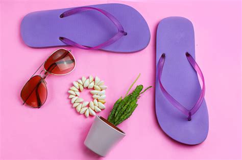 해변 보라색 플립 플롭 에비에이터 선글라스 조개 팔찌와 분홍색 배경 평면 평신도에 즙이 많은 선인장 여름 방학 다채로운 여행 해변 플랫 텍스트 무료 복사 공간 누워 개념에