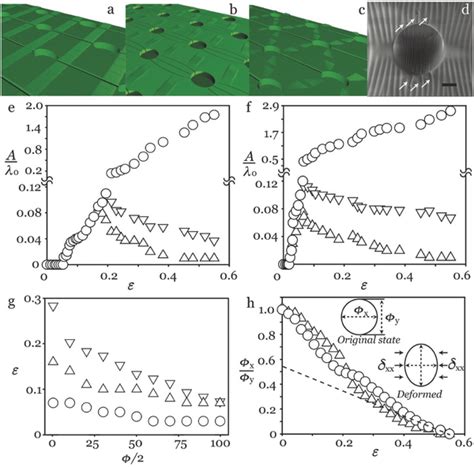 The Evolution Of Surface Morphology At Higher Compression From