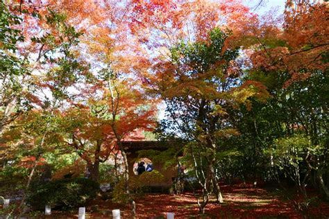 大高森展望台松島四大観への行き方と場所は？駐車場もチェック！