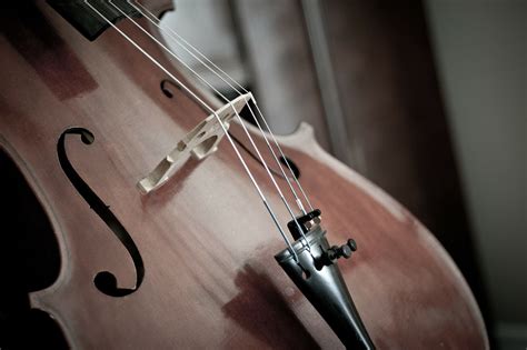 Quel Prix Pour Un Violoncelle Violon