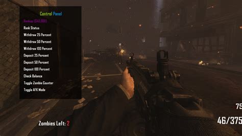 Bo2 Plutonium Custom Contol Panel Mod Menu Custom Bank And Rank System Youtube