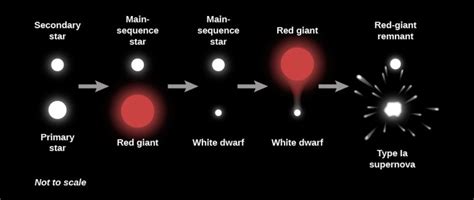 Chapter Section The Evolution Of Binary Star Systems Survey Of Astronomy