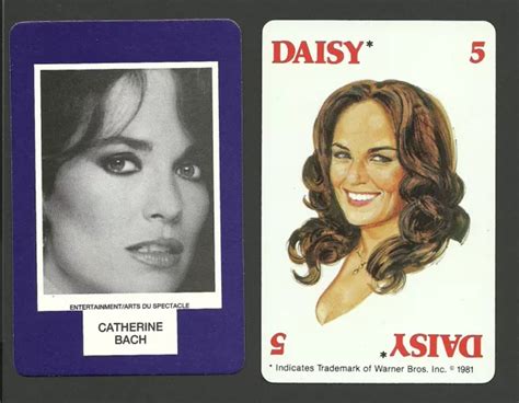 Catherine Bach Daisy Dukes Of Hazzard Movie Tv Actress Fab Card Lot Eur