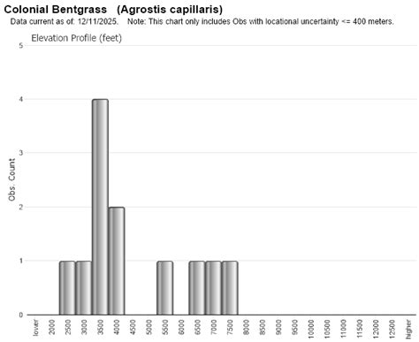 Colonial Bentgrass Montana Field Guide