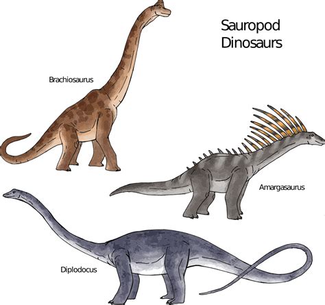 Brachiosaurus Sauropod