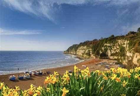 Welcome To East Devon — Where Coast Meets Countryside