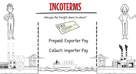 Freight Prepaid L G Ph N Bi T Freight Prepaid V Freight Collect