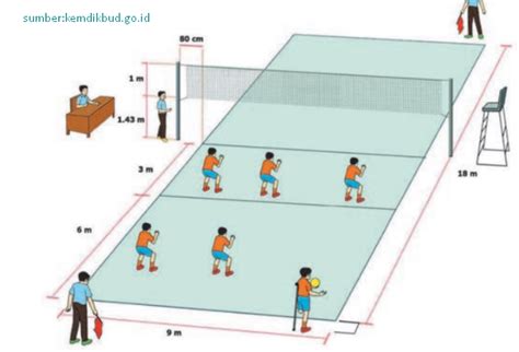 Gambar Lapangan Bola Voli Beserta Ukurannya Artofit