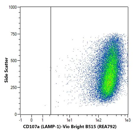 Cd107a Lamp 1 Antibody Anti Human Reafinity™ Miltenyi Biotec