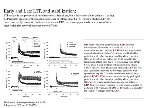 Ppt Terminals Of Lateral Perforant Pathway Powerpoint Presentation