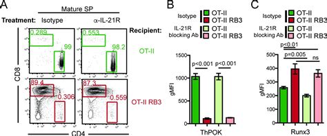 Hdac3 Restrains Cd8 Lineage Genes To Maintain A Bi Potential State In