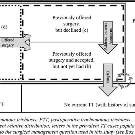 Conceptual Framework Describing Categorization Of Study Eyes Regarding