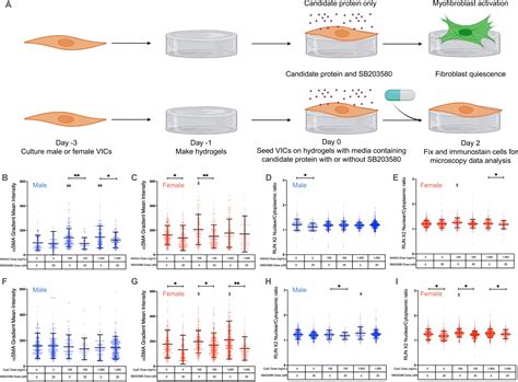 Inflammatory Serum Factors From Aortic Valve Stenosis Patients Modulate Sex Differences In