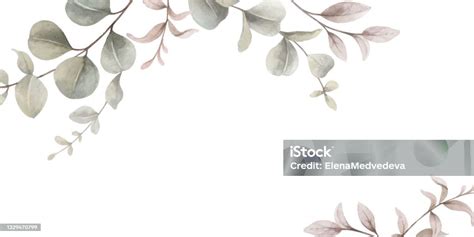 유칼립투스 가지와 흰색 배경에 고립 된 잎의 수채화 카드 꽃손은 인사말 카드 결혼 초대장 텍스트 등을위한 공간이있는 배너를 위해 그림을 그렸습니다 개화기에 대한 스톡 벡터