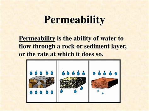 Passive Permeability Definition At Jenny Collier Blog