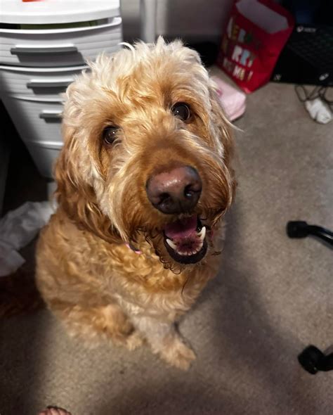 Hailey Hansen Hailey Hansen Added A New Photo