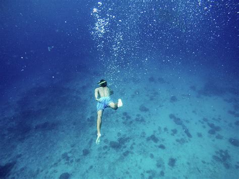 Shirtless Man Snorkeling Undersea Photograph By Cavan Images Pixels