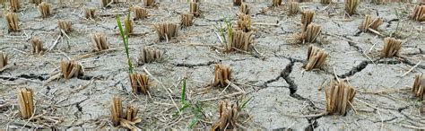 Sustainable Drought Mitigation Technology Hydroflow Usa Award