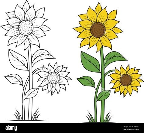 Sunflower Clipart Sunflower Svg Sunflower Svg Cut File Sunflower