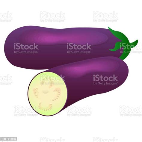 흰색 배경에 신선한 가지 겨울 을 위한 수확 가을 수확 벡터 일러스트레이션 0명에 대한 스톡 벡터 아트 및 기타 이미지 0명