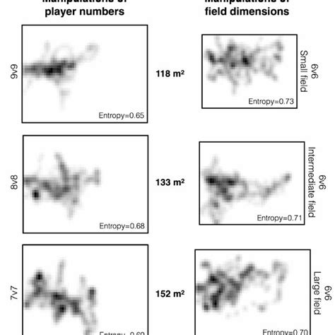 Exemplar Spatial Distribution Maps And Entropy Measures Of One Single
