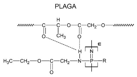 Molecules Free Full Text Cyclo And Polyphosphazenes For Biomedical