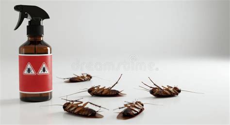 Effective Cockroach Control Pest Control Spray Bottle And Dead
