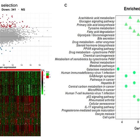 Biomarker Discovery A Differentially Expressed Gene Selection In Download Scientific Diagram