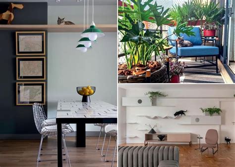 7 projetos boas soluções para o bem estar dos gatos em casa