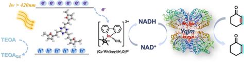 Heteroatom Structural Engineering Of Conjugated Porous Polymers