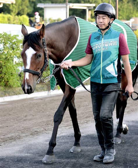 【宝塚記念】ルージュエヴァイユは雨予報を歓迎せず 陣営「少しでも走りやすい馬場になってほしい」 スポーツ報知