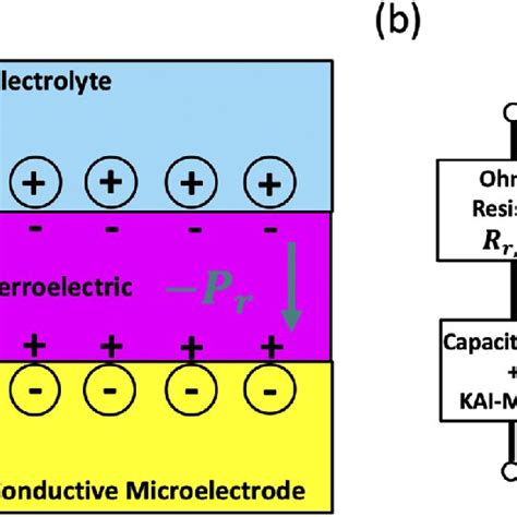 A Electrolyte Ferroelectric Conductor Efc Configuration In The