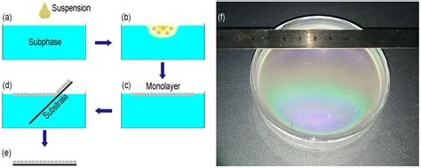 A Facile Interfacial Self Assembly Of Crystalline Colloidal Monolayers
