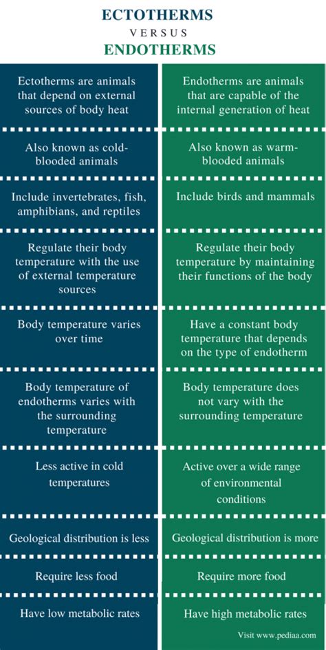 Difference Between Ectotherms And Endotherms Definition