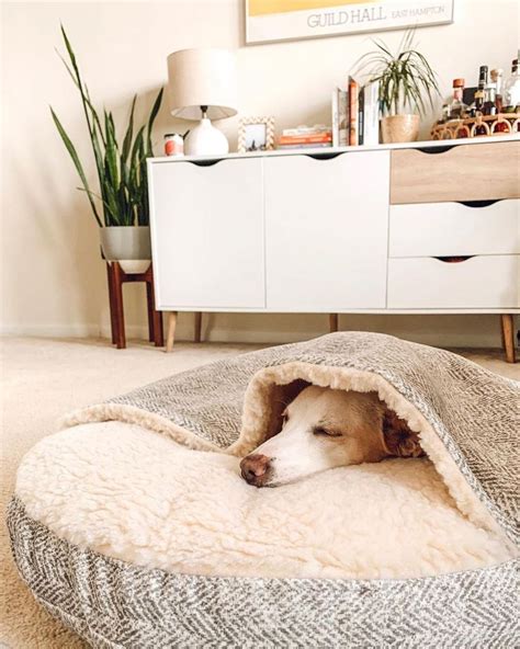 Luxury Cozy Cave® Dog Bed Show Dog Collection Cozy Cave Dog Bed