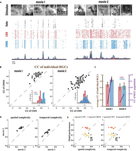 Unraveling Neural Coding Of Dynamic Natural Visual Scenes Via