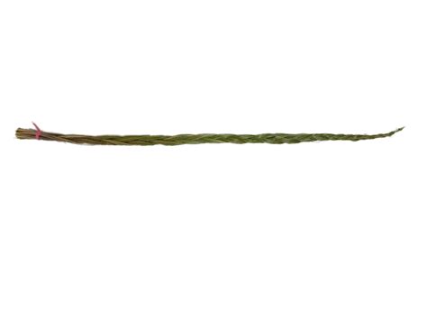 Native Sweetgrass Braids Or Sweet Grass Braids Or Native Sweet Grass